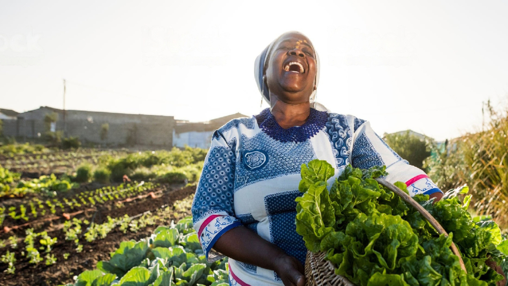 Notore Chemical Industries Plc