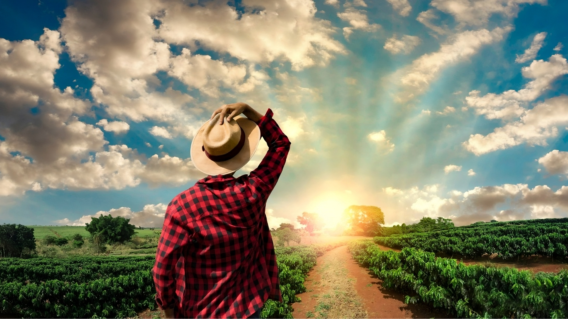 Notore Chemical Industries Plc